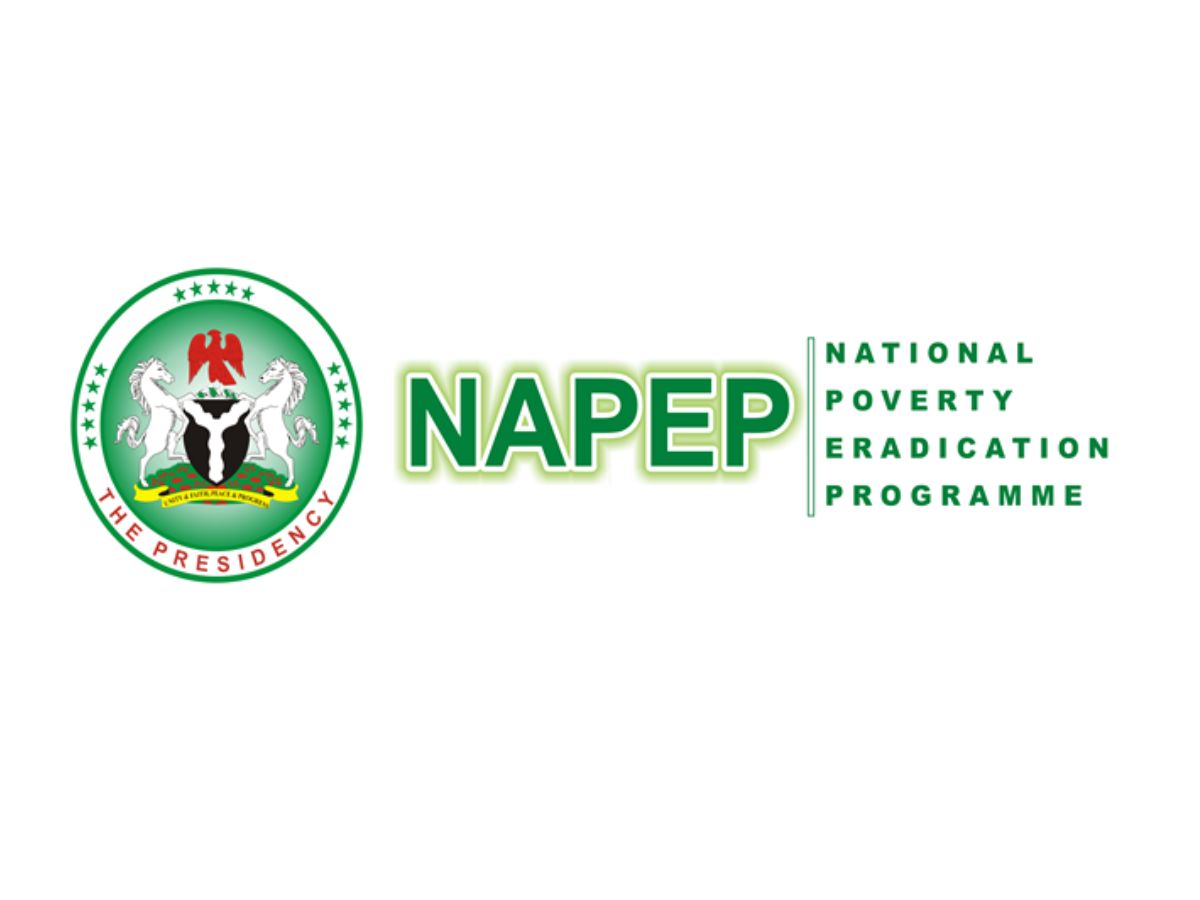 The Role of the National Poverty Eradication Programme (NAPEP) in ...
