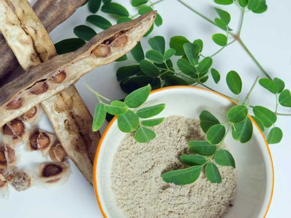 The Growing Popularity of Nigerian Herbal Remedies for Wellness | Naija ...